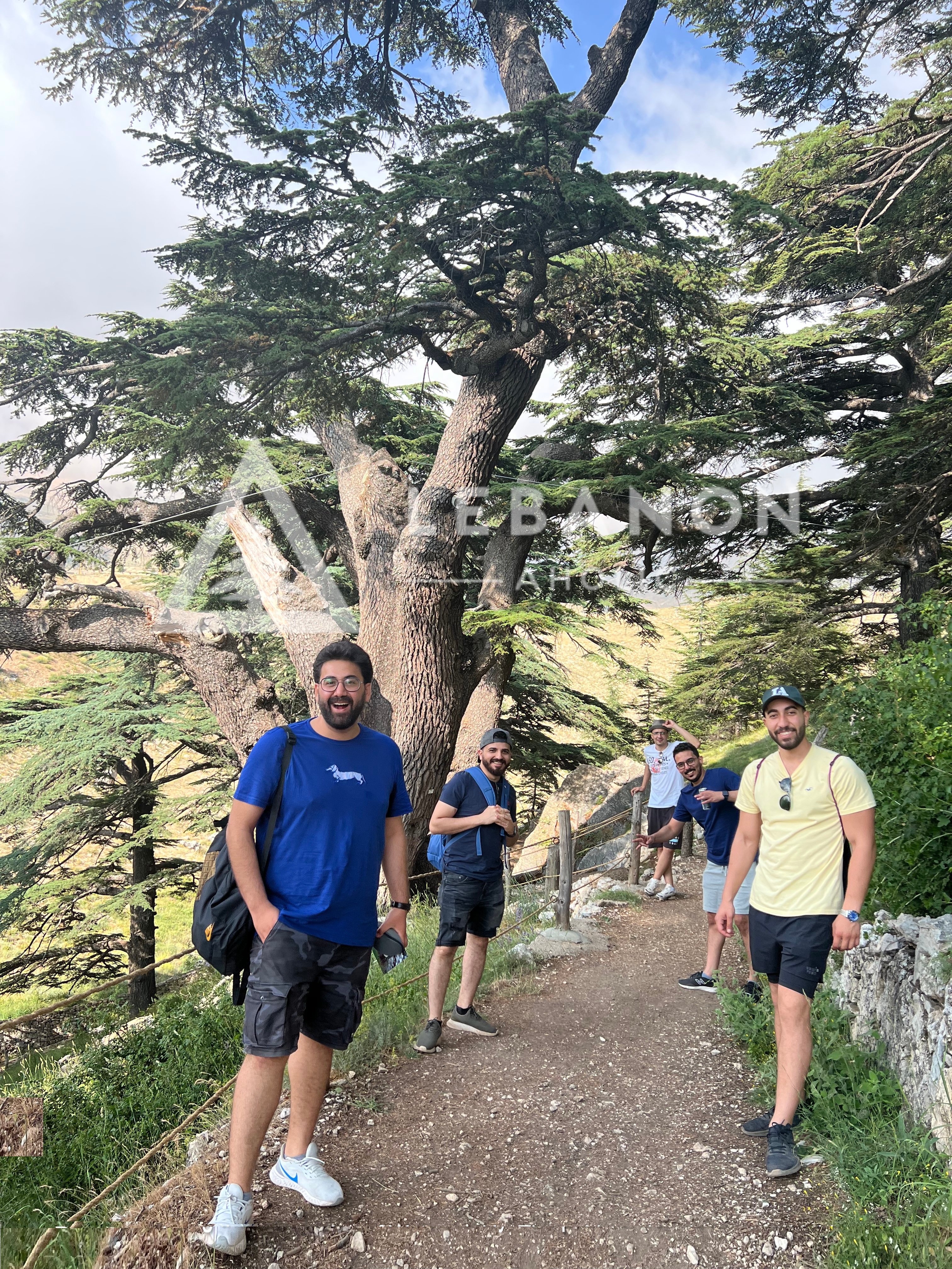 Cedars of God & Qadisha Valley Tour – Explore Lebanon’s Ancient Forests ...